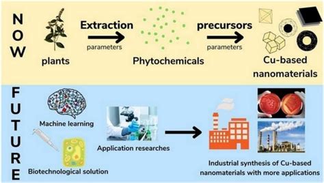 Nanomaterials Free Full Text Biogenic Synthesis Of Copper Based