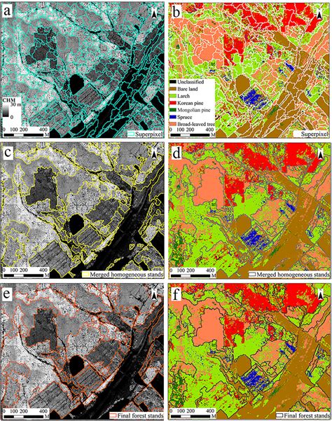 Xiong H Pang Y Et Al 2024 Forest Stand Delineation Using Airborne Lidar And Hyperspectral Data