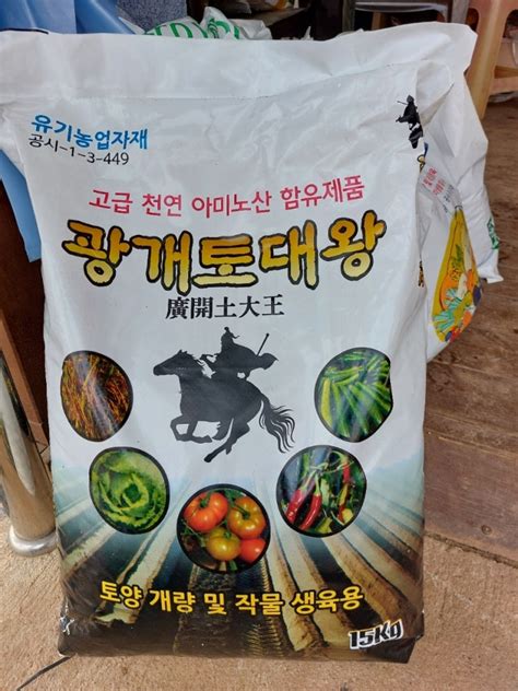 소뿔고추 아주심기 10일경과 네이버 블로그