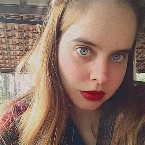 Gatinho Purê Amou O Presente Gateiros Gato Gatos Gatil Lanna