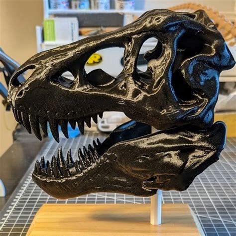 T Rex Dinosaur Skull Fossil 3d Printer Model Files