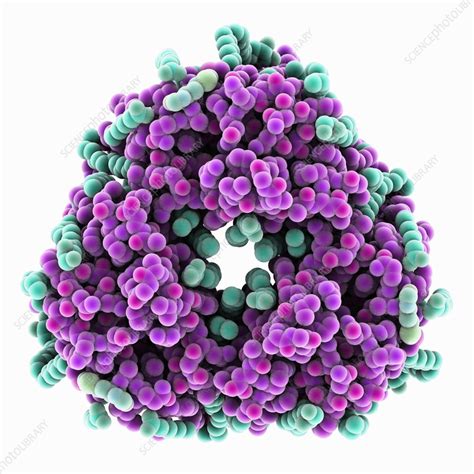 Synechocystis Halorhodopsin Syhr Molecular Model Stock Image