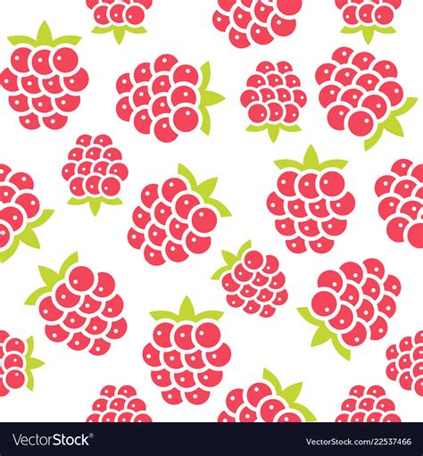 Raspberry Seamless Pattern For Wallpaper Vector Image