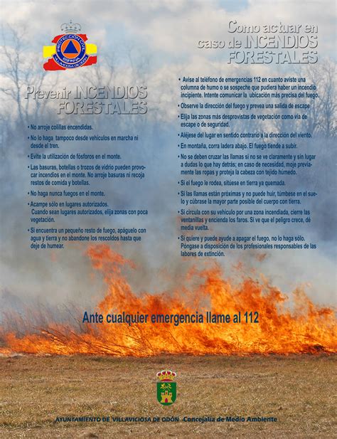 Sur Madrid Online Consejos Para Prevenir Los Incendios Forestales
