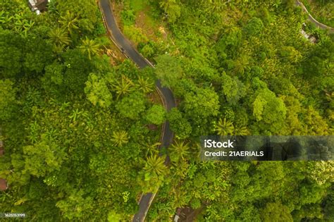 열대우림을 통과하는 무성한 녹색 정글 커브드 시골 길을 통과하는 아스팔트 도로의 오버헤드 공중 보기 0명에 대한 스톡 사진 및 기타 이미지 Istock