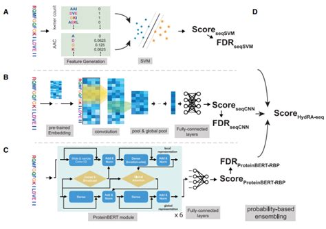 已预测1000多个rna结合蛋白，加州大学团队提出ai生信模型，填补rna结合蛋白的认知空白 知乎