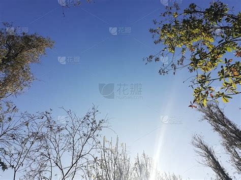 仰望天空