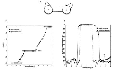 Example Demonstrating The Enhancement In Synchronization Of Mutually