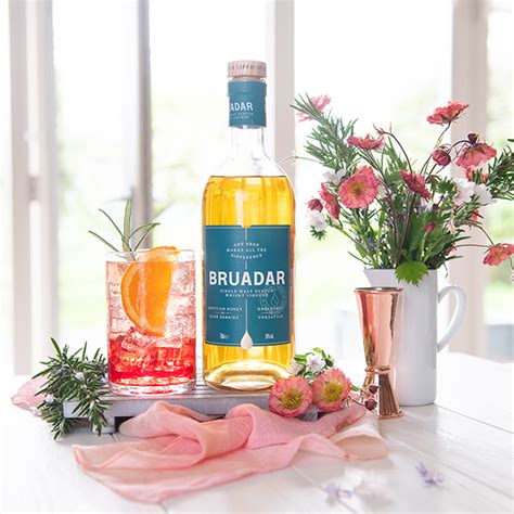 Den Sommer Mit Leichten Cocktails Genießen Ewhisky Info