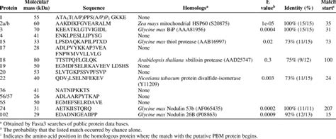 N Terminal Amino Acid Sequence Of Putative Peribacteroid Membrane Pbm