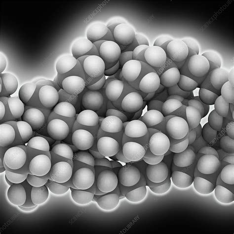 Polyethylene Polymer Chain Stock Image C026 0134 Science Photo
