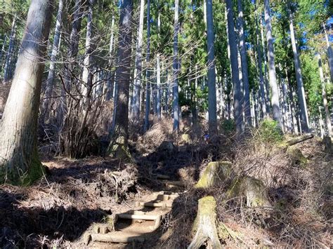 Hike And Camp
