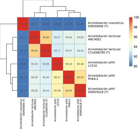 Heatmap Showing The Clustering Of Acinetobacter Isolates Based On Their