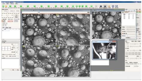 Magnification 8x 800000x Scanning Electron Microscope 1 5 3nm Resolution Bse