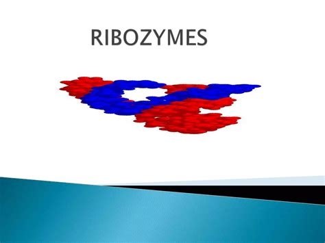 Ribozymes Pptx