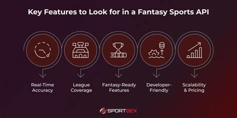7 best sports data api providers for fantasy sports 2025