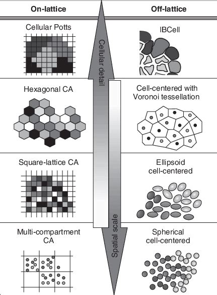 Reciprocal Relation Between The Number Of Cells Handled Download
