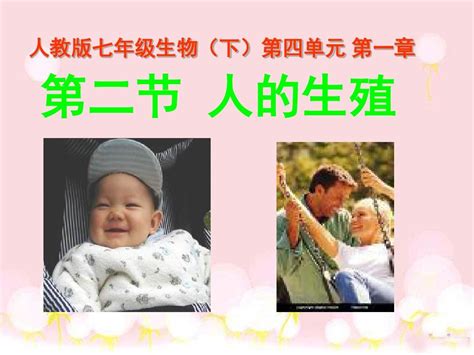 1 2人的生殖word文档在线阅读与下载无忧文档