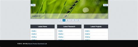 Html Footers Positioning Causes Overlap On Other Section Of The Page
