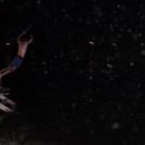 Stream Kyle Geiss Music Listen To Songs Albums Playlists For Free