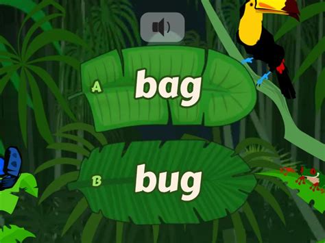 Review Lesson 3 Quiz