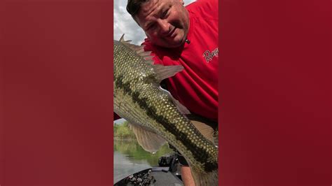 Table Rock Lake Bass Fishing Youtube