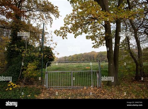 Trees Flanking Gate Into Restricted Field Of Abandoned Town Mannheim