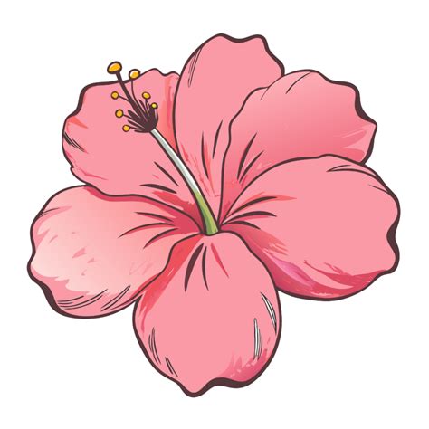 White Hibiscus Clipart Free Png Svg Vector