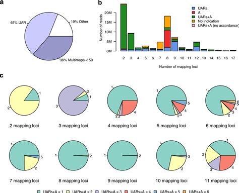 Frequency Proportions And Characteristics Of Multimaps In Srna Seq