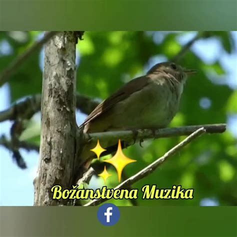  Slike E  Slike E Added A New Photo