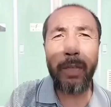 幻兽帕鲁同人印象免费 量贩Live2D模型娘化疾旋鼬 兄弟 兄弟你好香你的耳朵好软 霓衣风马toyoo 默认收藏夹 哔哩哔哩视频