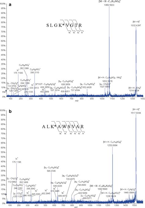 7 Maldi Cid Tof Tof Ms Ms Spectra Of The Glycated Peptide A Download Scientific Diagram
