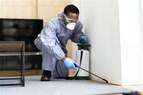 Premium Photo Pest Control Exterminator Services Spraying Termite
