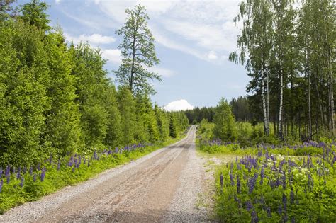 스웨덴 자연 풍경 Pixabay의 무료 사진 Pixabay