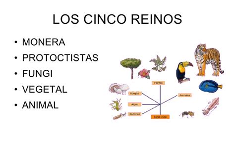 Biodiversidad La Diversidad De Los Seres Vivos Y Sus Interacciones