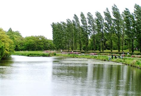 水元公園 ザリガニ釣りと水あそびができる大きな公園