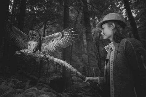 Its The Moment Of Truth For The Northern Spotted Owl Audubon