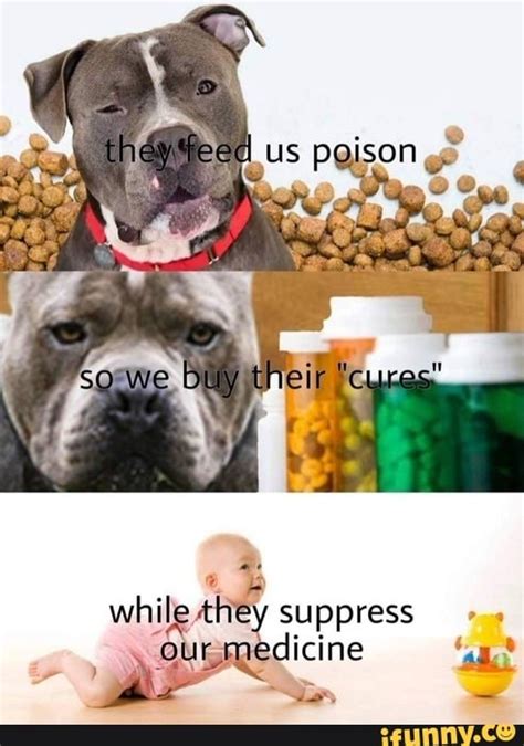 While Suppress Our Medicine IFunny Brazil
