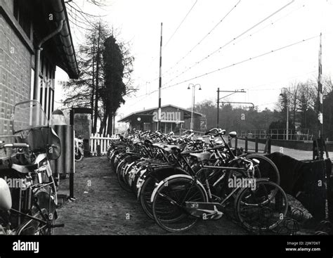 View Of The Bicycle Parking At The N S Station Nunspeet In Nunspeet Stock Photo Alamy