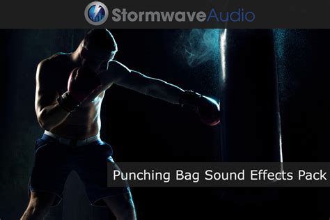 Punching Bag Sound Effects Pack Audio Sound Fx Unity Asset Store