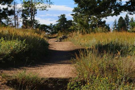 Top 3 Favorite Hikes In Evergreen Colorado By A Local