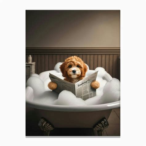 Cockapoo Soaking In The Bath Canvas Print By Nordicdesignhouse Fy