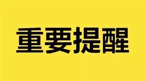深中通道伶仃洋大桥 主缆索股完成架设