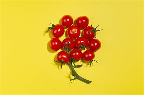 녹색 꼬리와 그림자가 있는 육즙이 많은 빨간 토마토가 노란색 배경에 요정 베리 모양으로 복사 공간 상단 보기 현대적인 컬러 푸드