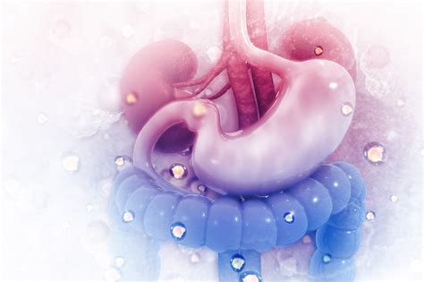과학적 배경에 인간의 소화 시스템 3d 일러스트레이션 3차원 형태에 대한 스톡 사진 및 기타 이미지 3차원 형태 가득 찬