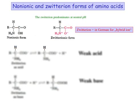 SOLUTION Amino Acids And Protein Structure Studypool