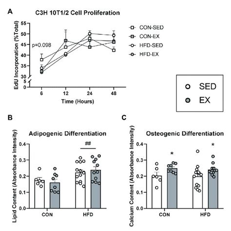 Extracellular Vesicles EVs Impact Mesenchymal Stromal Cell MSC