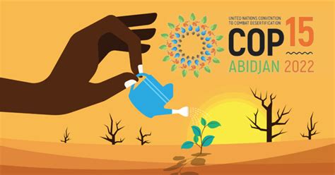 Regeneration Internationals Perspective Of The Unccd Cop15 In Abidjan