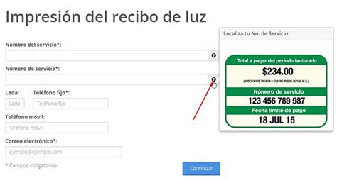 Consultar RECIBO CFE Descargar E Imprimir TochoMorocho