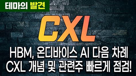 Cxl 관련주 네오셈 오킨스전자 시작으로 시장 반응 Hbm 온디바이스ai 잇는 새로운 반도체 소부장 주도 테마 등극 주식 주가 투자 Youtube